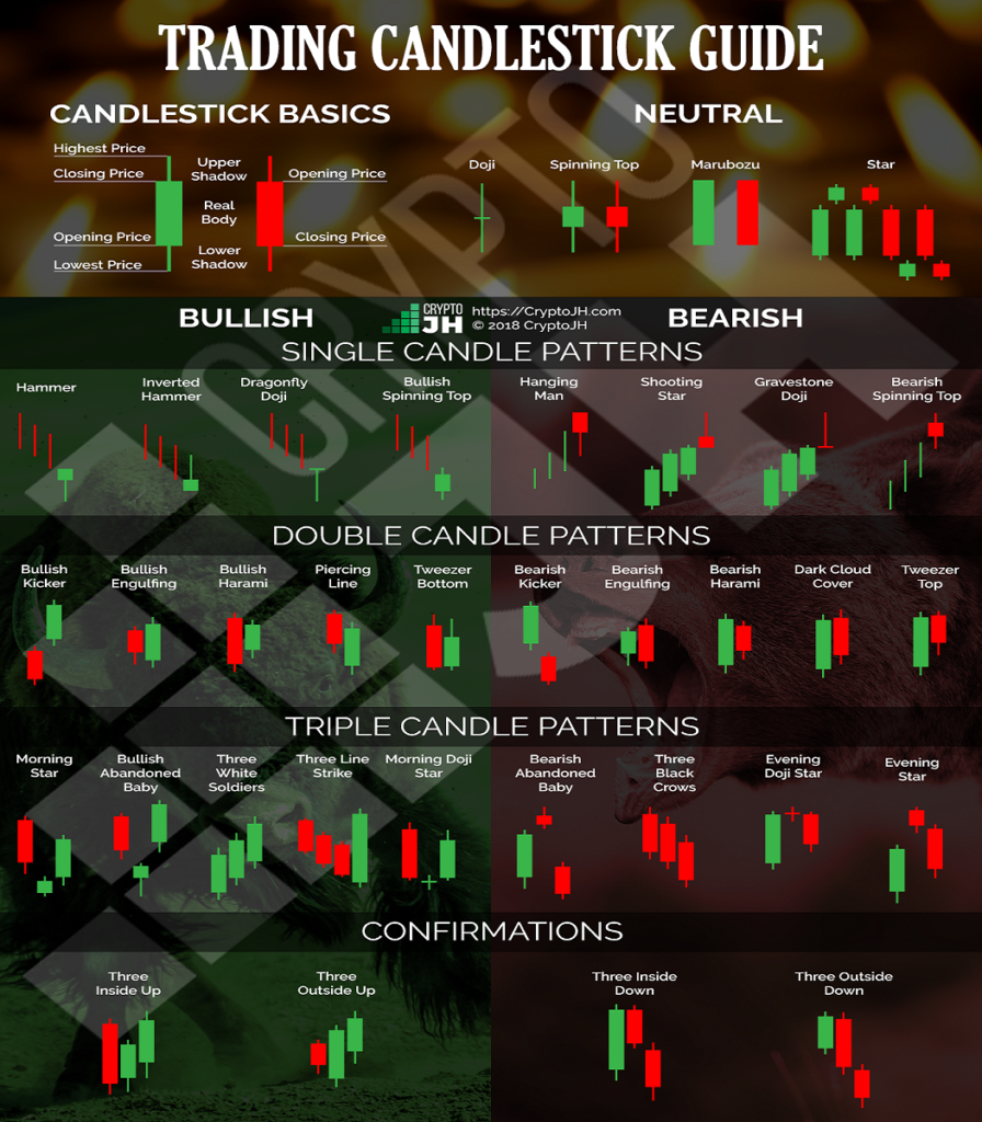 Crypto Infographic - Best Software To Invest The Currency In Right Way!